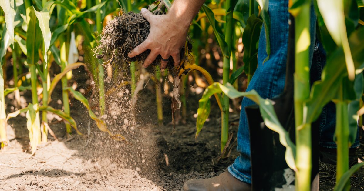 DCVC | Pivot Bio Raises $100m Series C: Bringing Microbes to…