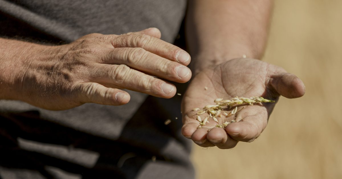 DCVC | DCVC closes $700 million+ in new funds for a healthier planet…